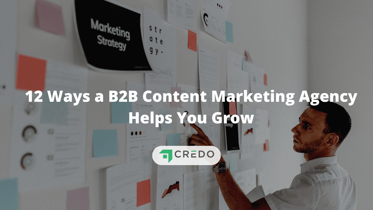 12 Ways a B2B Content Marketing Agency Helps You Grow | Credo